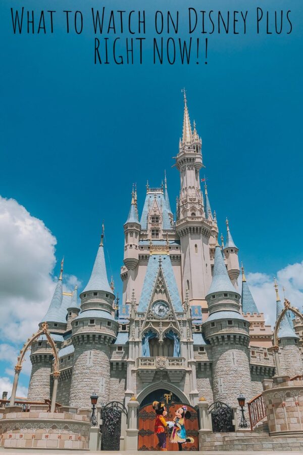 New on Disney Plus: What You Should Watch Right Now