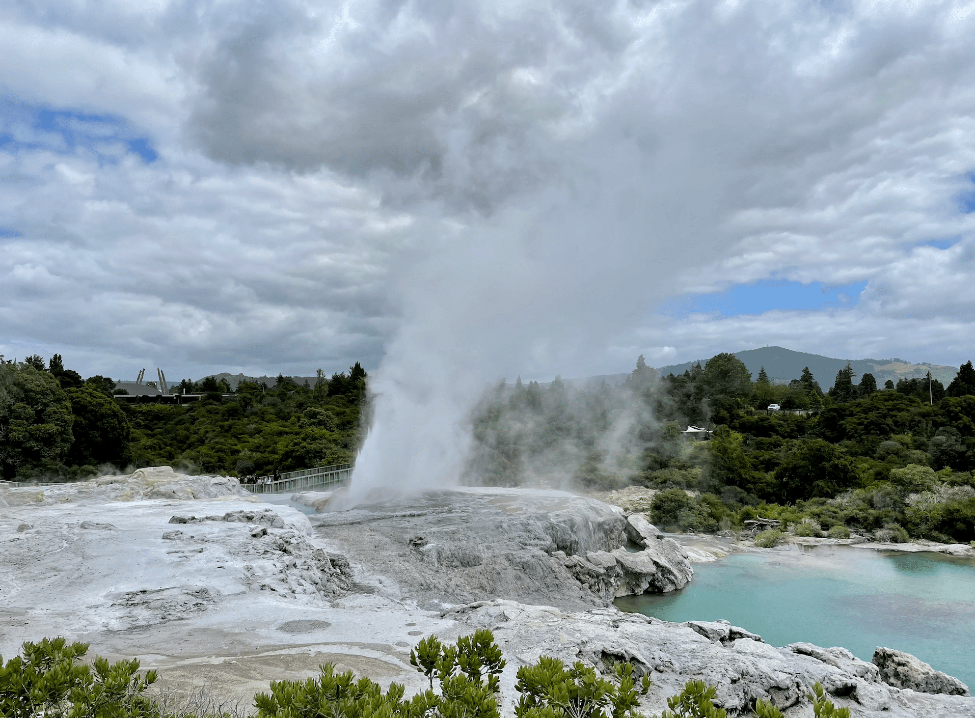 Must-Do Rotorua, Aotearoa New Zealand