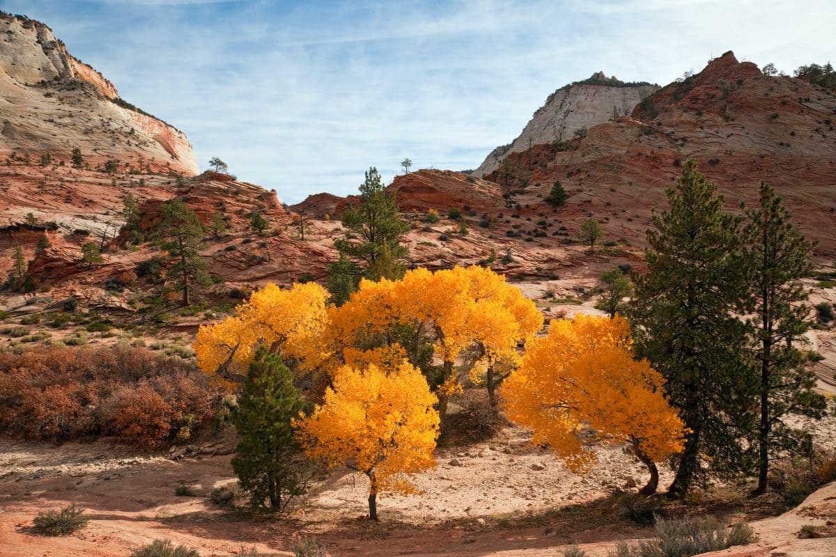 The Best National Parks for Fall Foliage