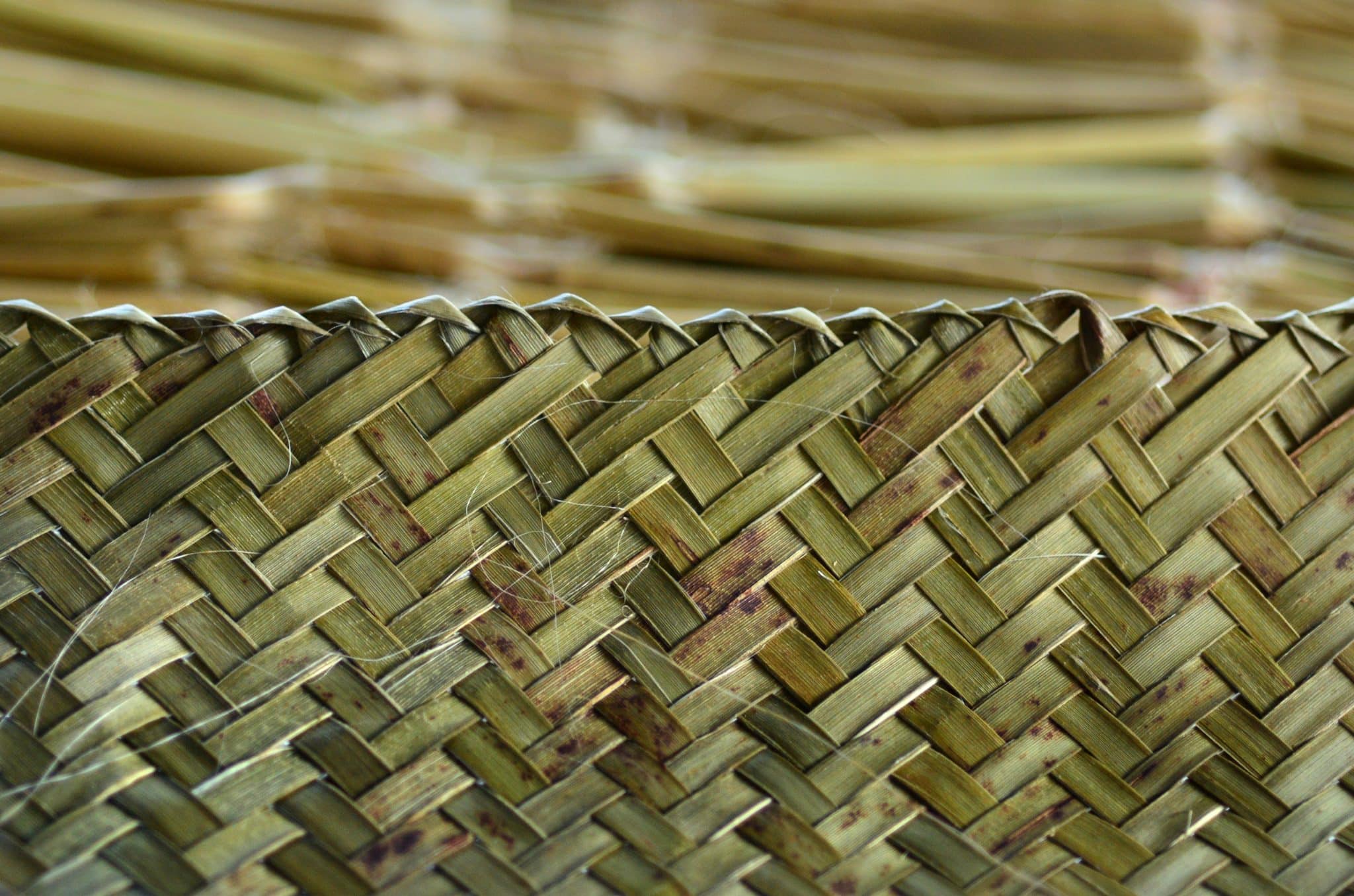 A Brief History of Flax Weaving in New Zealand